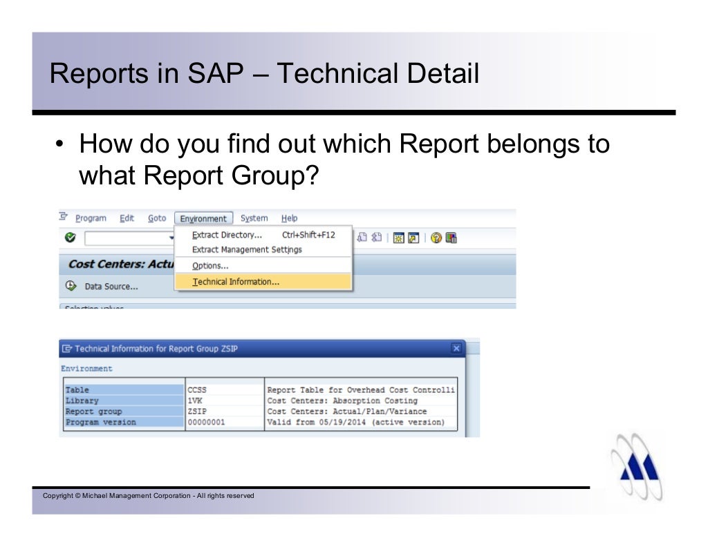 Introduction To Report Painter