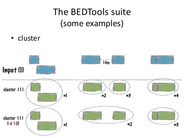 The use of BEDTools to analyze CNV regions