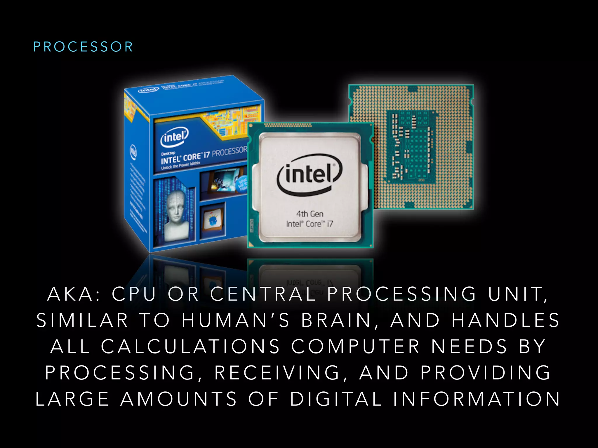 CSC 204 - Final Project | PPT