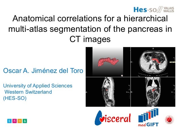 Anatomical Correlations For A Hierarchical Multi Atlas Segmentation O