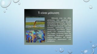 ρυπανση υδατων 2014 | PPTX