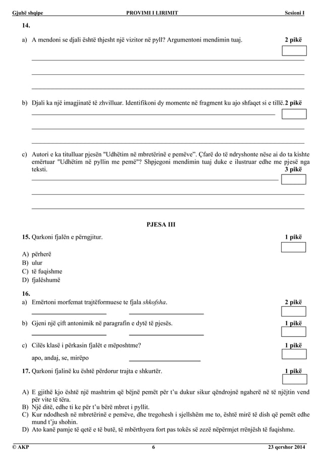 Provimi i lirimit 2014 Gjuhe Shqipe | PDF