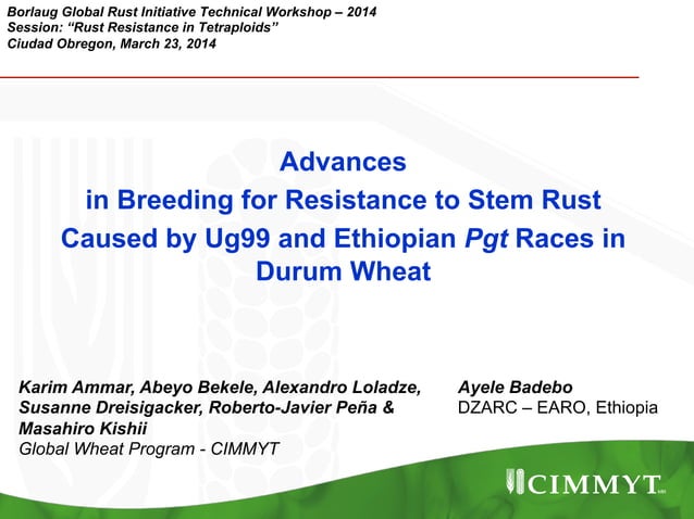 2014 bgri ammar | PDF | Agriculture | Industries