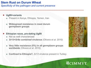 2014 bgri ammar | PDF | Agriculture | Industries