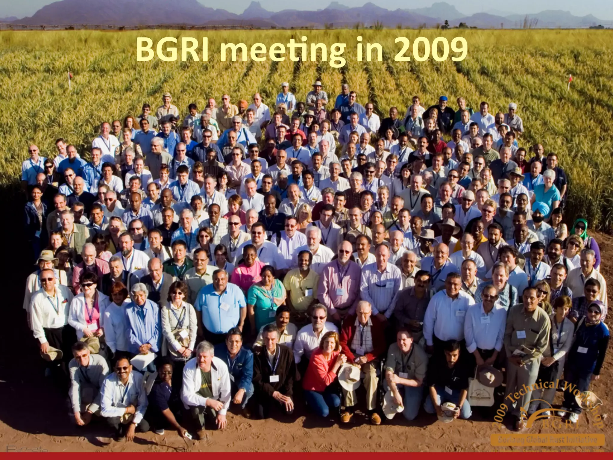 BGRI 2009- 2014: An effective platform for global coordination | PDF | Agriculture | Industries