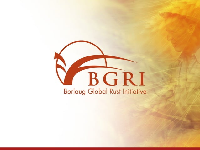 BGRI 2009- 2014: An effective platform for global coordination | PDF | Agriculture | Industries