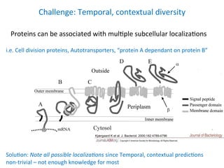 Making Protein Function and Subcellular Localization Predictions: Challenges and Opportunities | PPT
