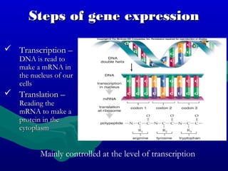 2014 expressiongenecontrol | PPT