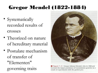 2014 historyofgenetics | PPT | Biological Sciences | Science