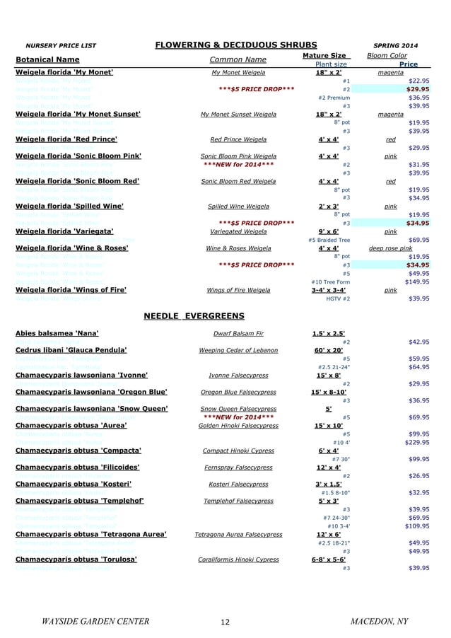 Rochester Landscaping, Nursery Plants Plants Price List | PDF | Flower ...