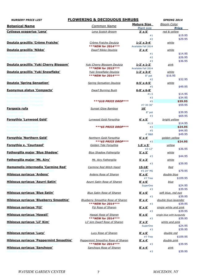 Rochester Landscaping, Nursery Plants Plants Price List | PDF | Flower ...