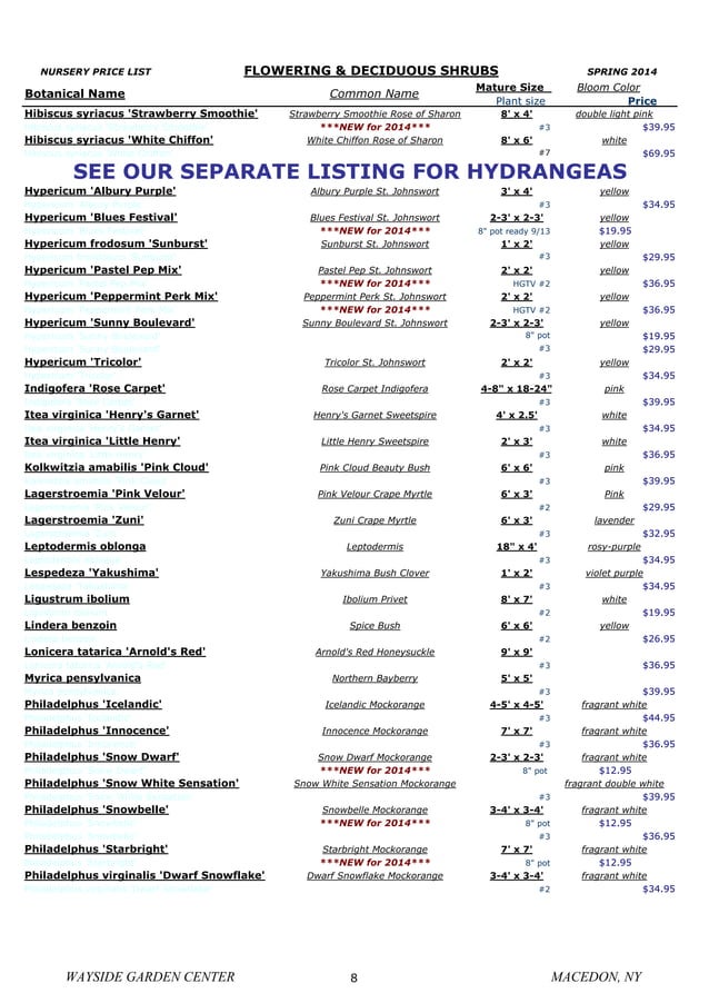 Rochester Landscaping, Nursery Plants Plants Price List | PDF | Flower ...