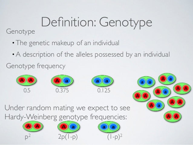 Genotype And Phenotype Definition