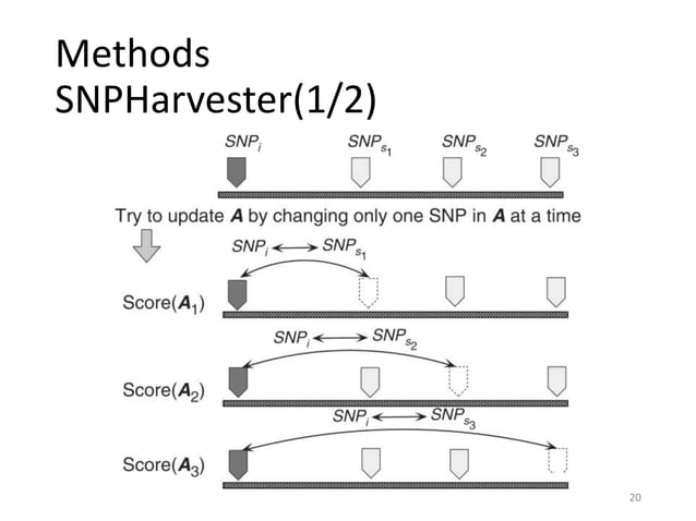 A Brief Introduction To Epistasis Detection Ppt