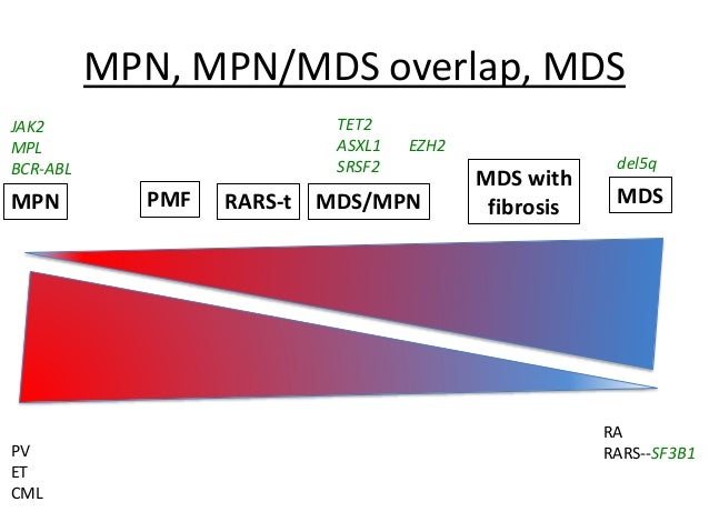 myeloid malignancy overview