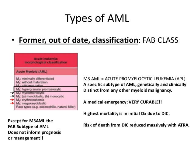 myeloid malignancy overview