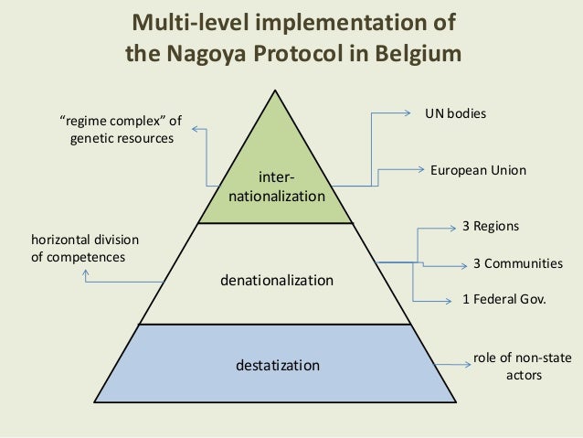 The Challenges for Implementing the Nagoya Protocol in a Multi-Level
