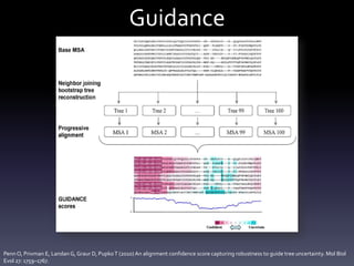 TCS: A new multiple sequence alignment reliability measure to estimate ...