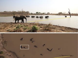 Drones, Flying robots and Javascript | PPT