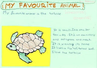 My favourite animal is... (2) | PDF