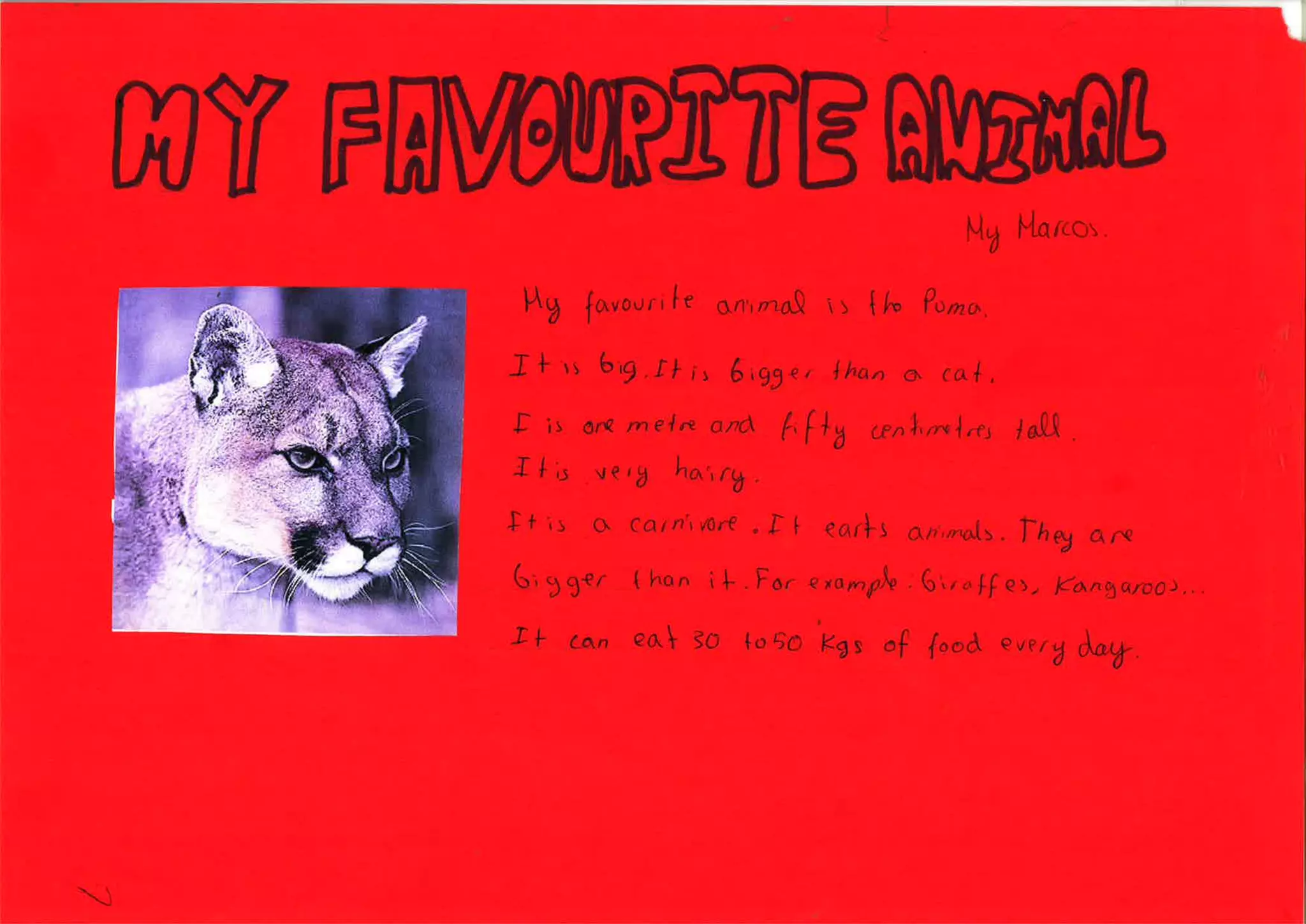 My favourite animal is... | PPT