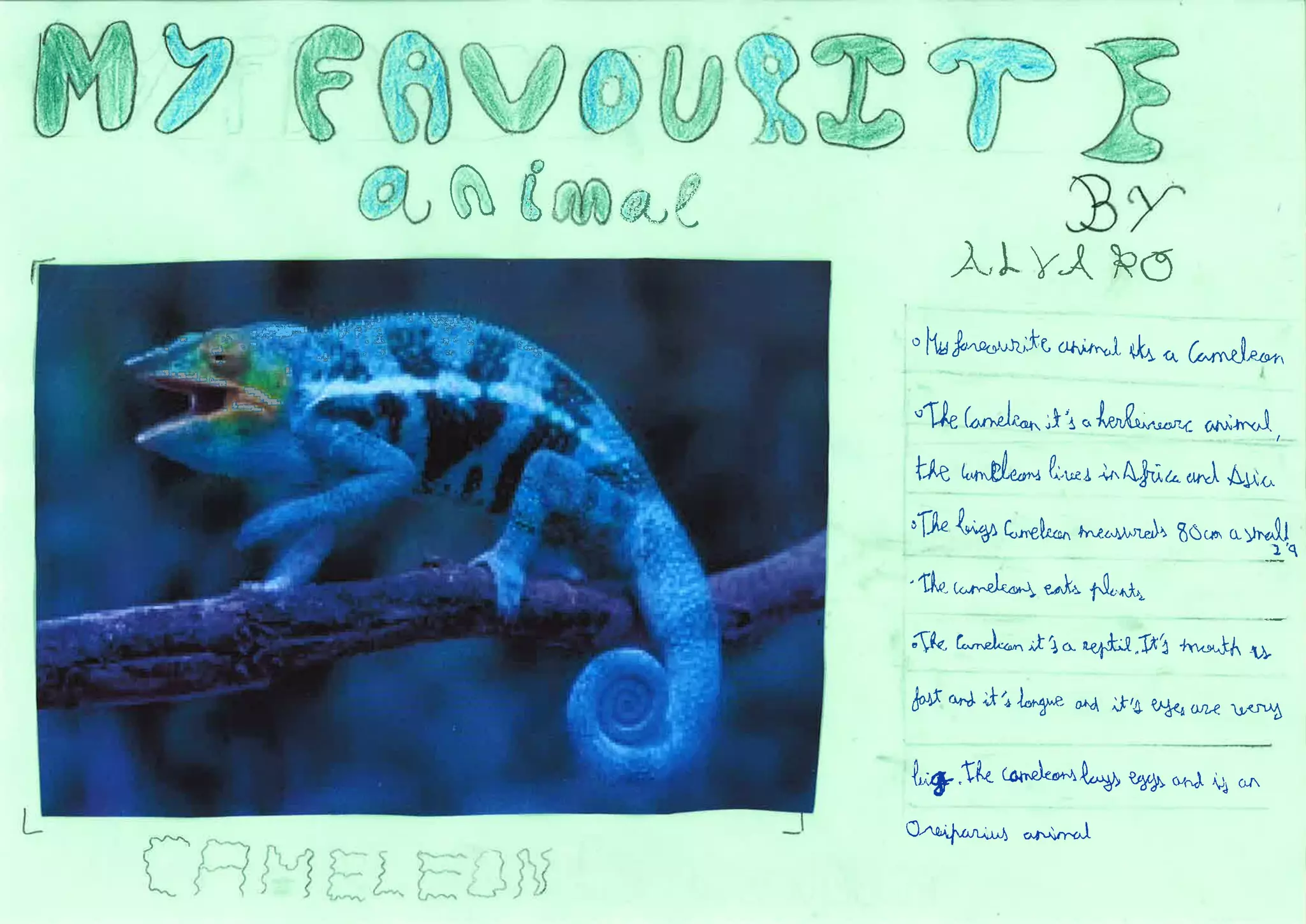 My favourite animal is... | PDF
