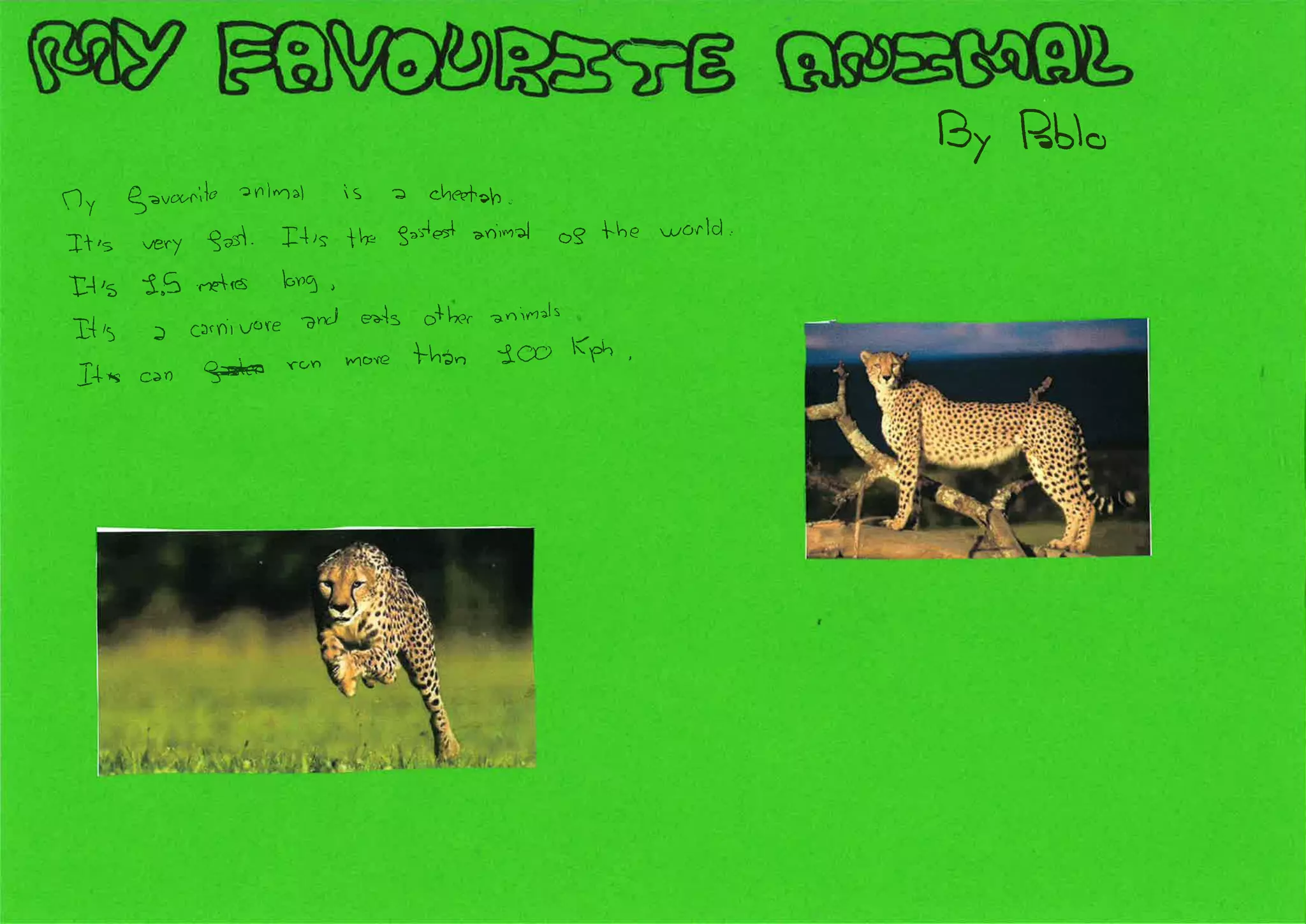 My favourite animal is... | PPT