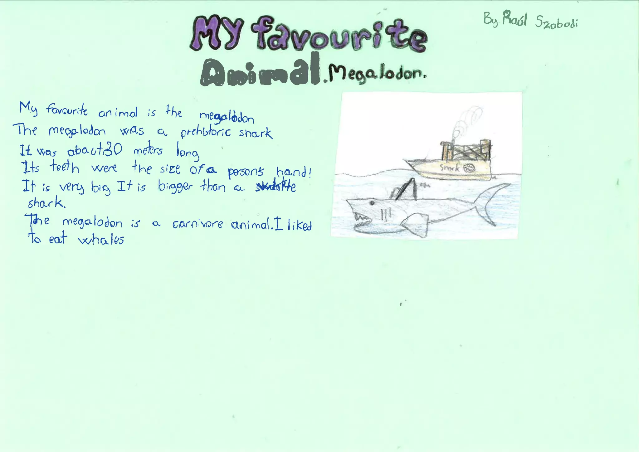 My favourite animal is... (3) | PDF