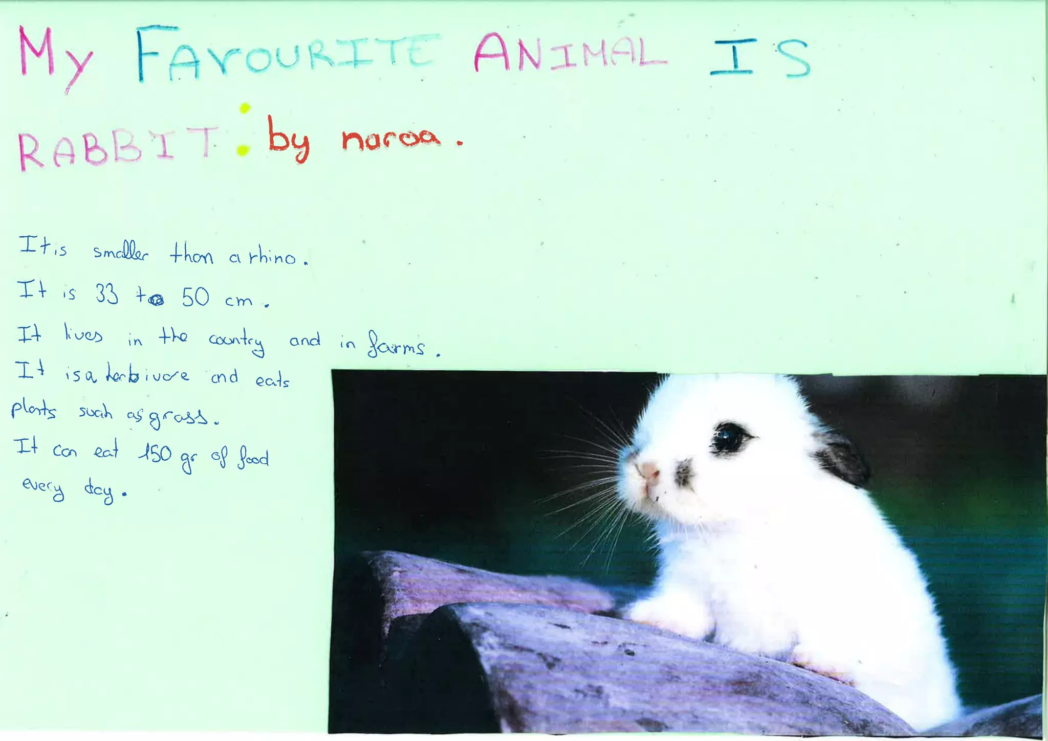 My favourite animal is... (3) | PDF