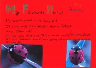 My favourite animal is... (3) | PDF