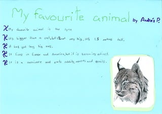 My favourite animal is... (3) | PDF