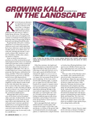 LICH Landscape Hawaii Magazine May/June 2013 Issue | PDF | Gardening ...