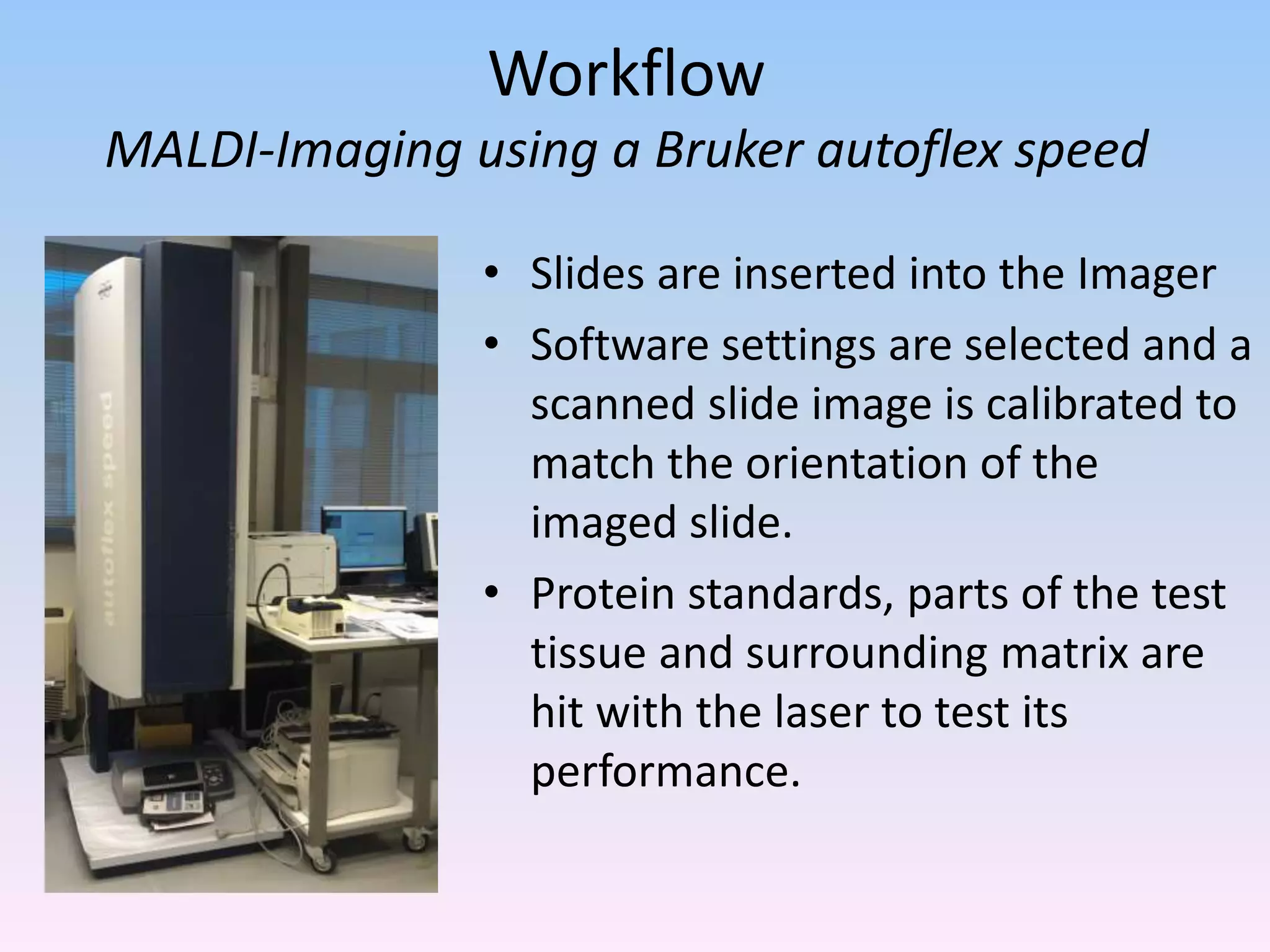 Presentation on the basic Maldi-Imaging workflow with some information ...