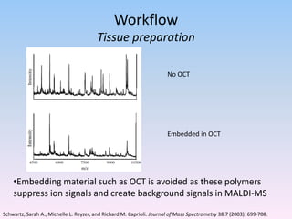Presentation on the basic Maldi-Imaging workflow with some information ...
