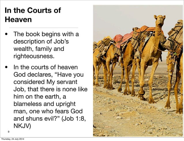 Journey Through the Bible: The Book of Job | PDF | Christianity ...
