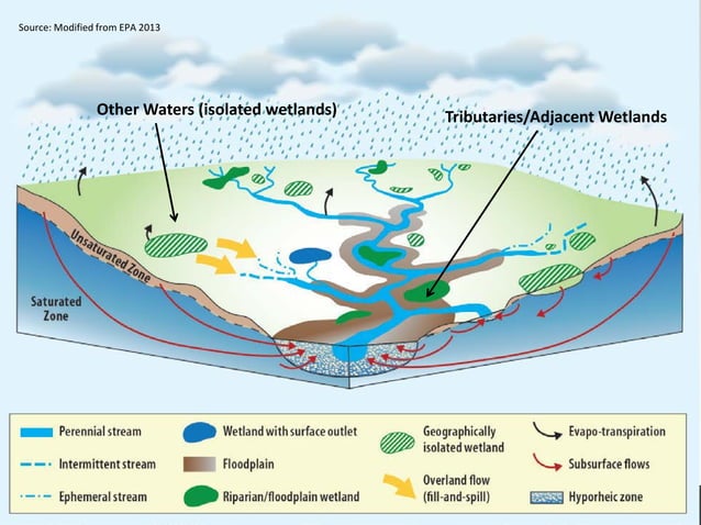 New EPA Wetlands Rule | PPT