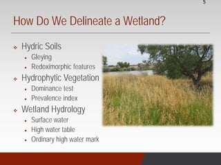 New EPA Wetlands Rule | PDF