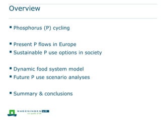 Present and future phosphorus use in Europe: food system scenario ...