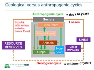 Present and future phosphorus use in Europe: food system scenario ...