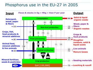 Present and future phosphorus use in Europe: food system scenario ...