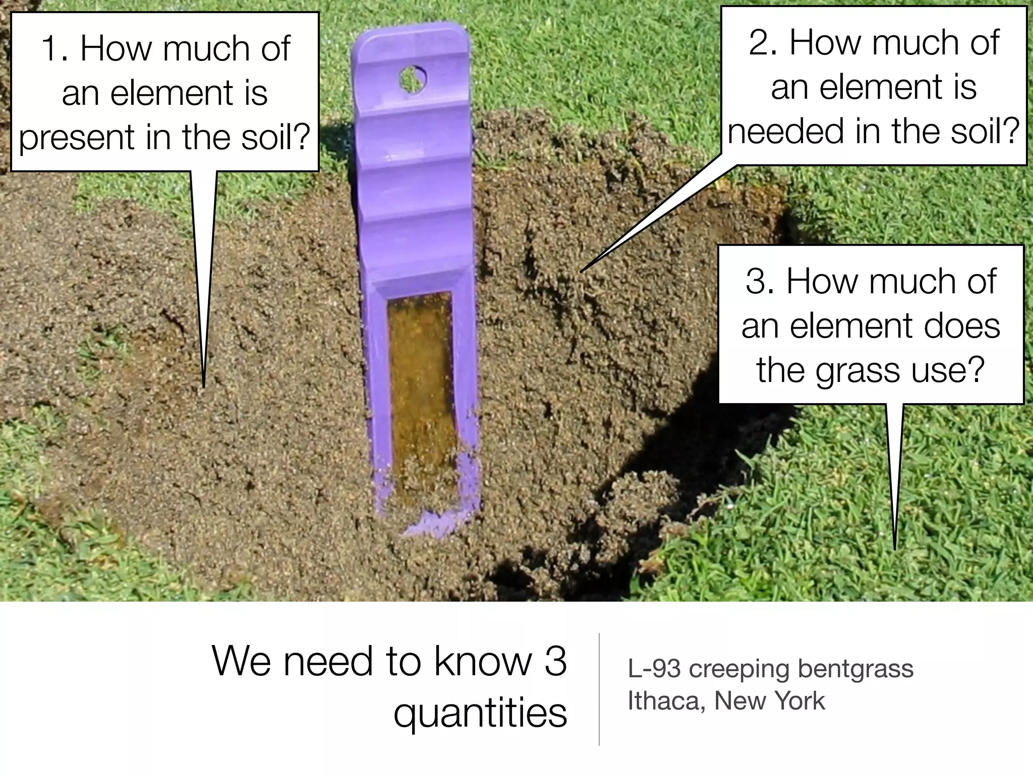 A Modern Method for Estimating Turfgrass Nutrient Requirements | PPT
