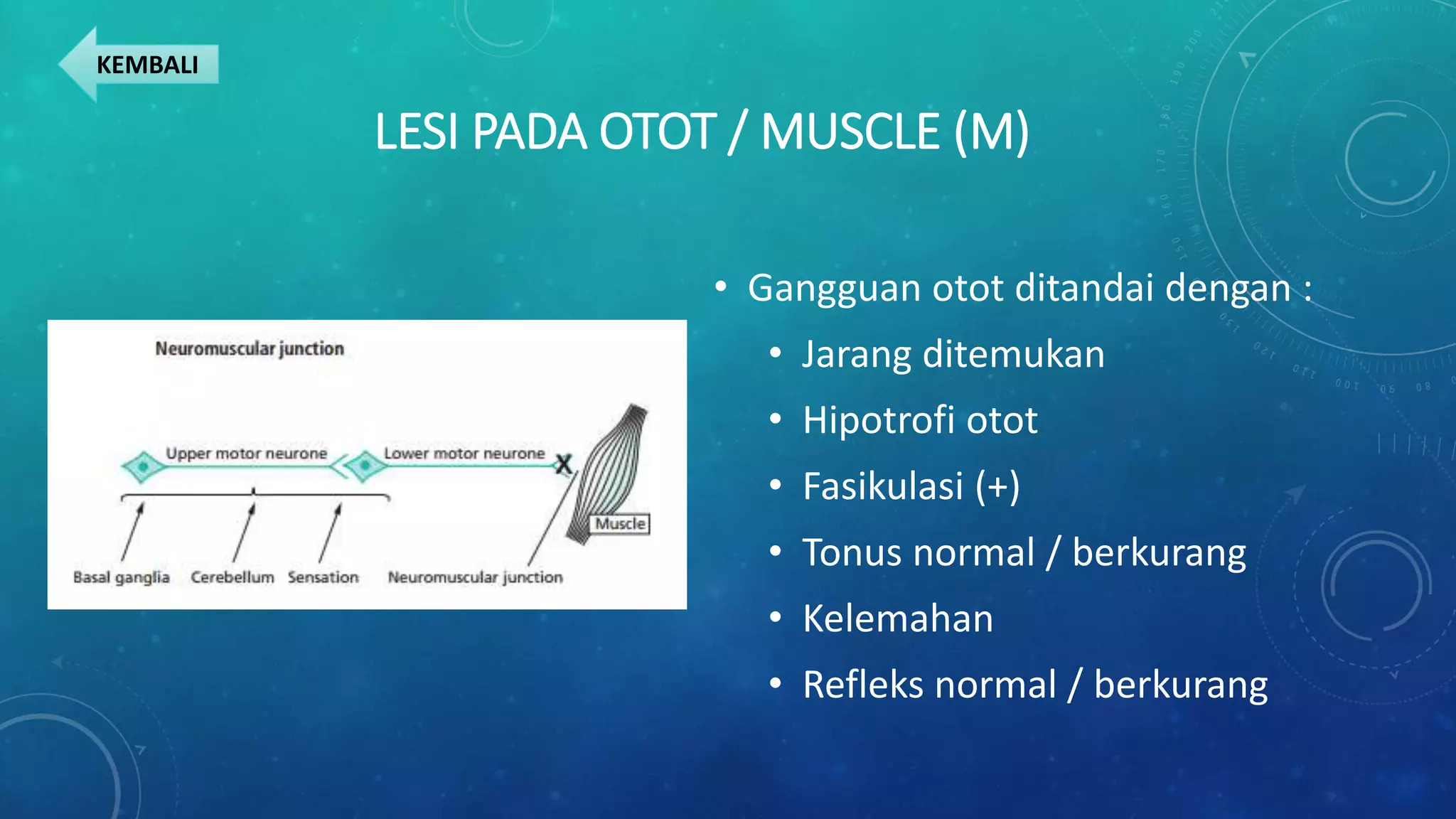 Mengenal Lokasi Gangguan Neurologis | PPTX