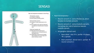 Mengenal Lokasi Gangguan Neurologis | PPTX