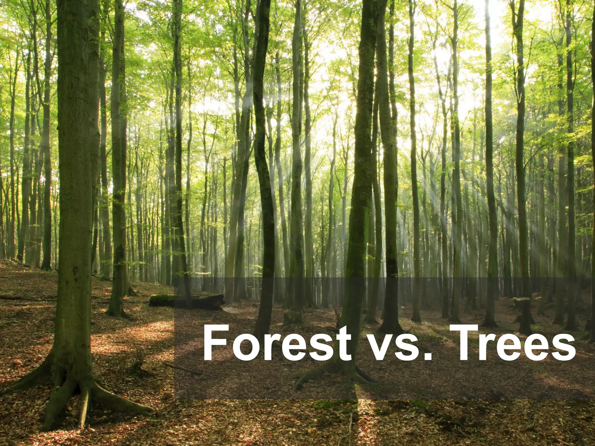 WordStream & SEMrush Present: 4 Steps to Outrank the PPC Competition