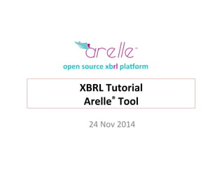 20141124XBRLTutorialArelleToolHermFischer.pdf