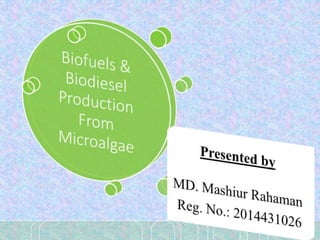 Biodiesel Production from Microalgae | PPTX