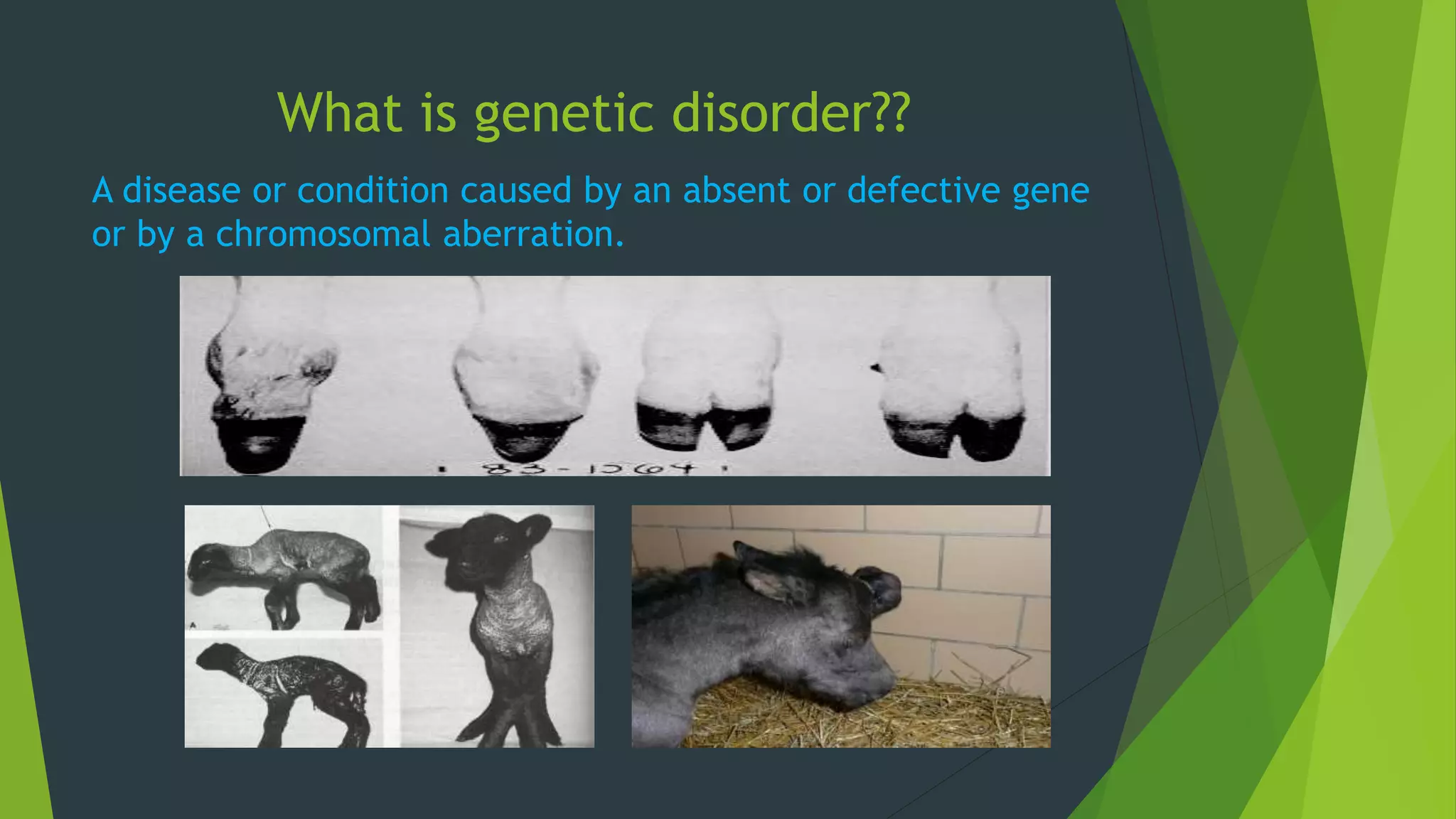 GENETIC DISORDER IN LIVESTOCK ANIMAL | PPTX