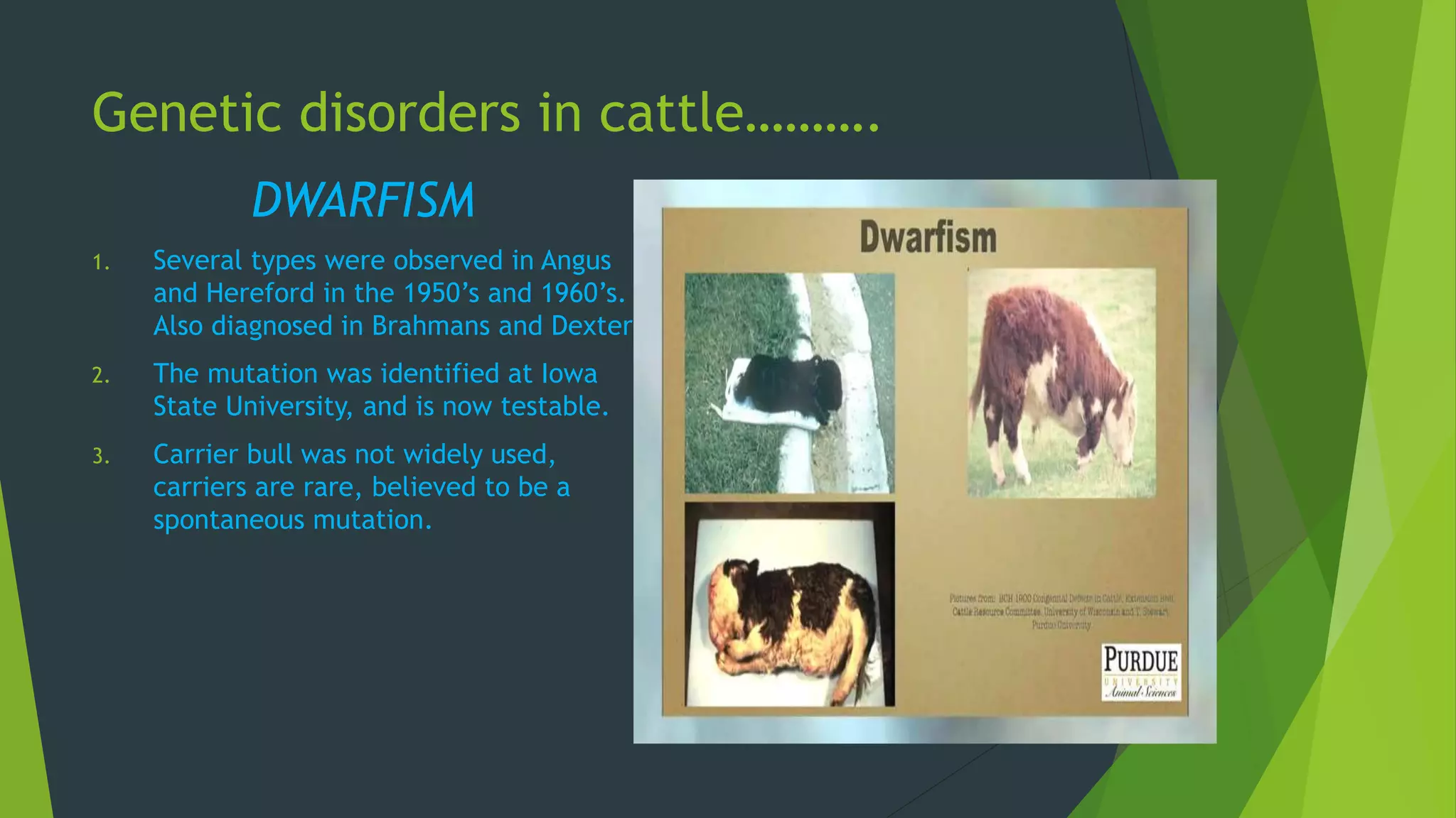 GENETIC DISORDER IN LIVESTOCK ANIMAL | PPTX