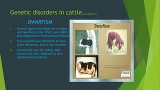 GENETIC DISORDER IN LIVESTOCK ANIMAL | PPTX
