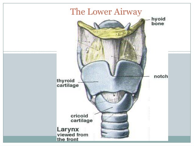2014 AEMT airway management cole